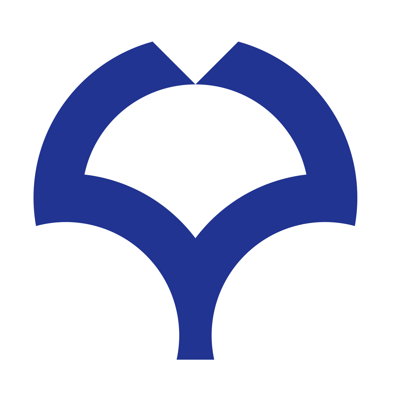 Top 5 des meilleures Universités du Japon 2023